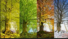 Seasons - Kahoot! Course