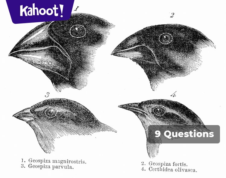 Intro to Evolution (Natural Selection) - Kahoot! Quiz