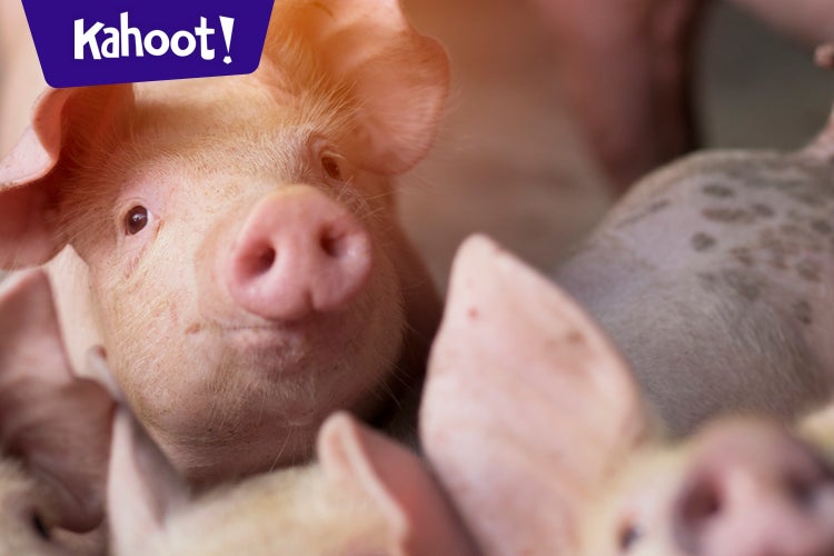 Charlotte's Web Vocab Ch 12-22 - Kahoot! Quiz