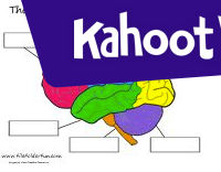Brain Labeling - Kahoot! Quiz