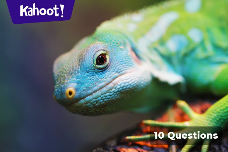 Survey of Animals - Kahoot! Quiz