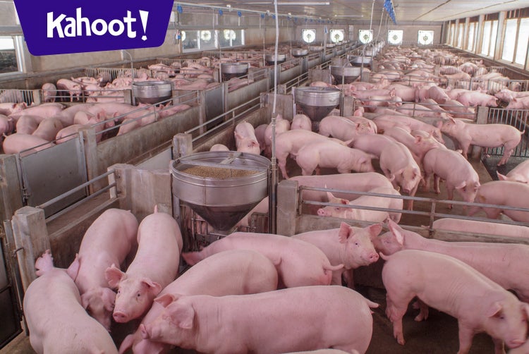 Animal and Fish Raising - Kahoot! Quiz