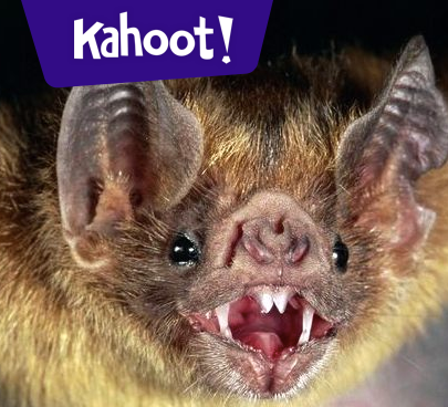 FUNdations Unit 7 - Kahoot! Quiz