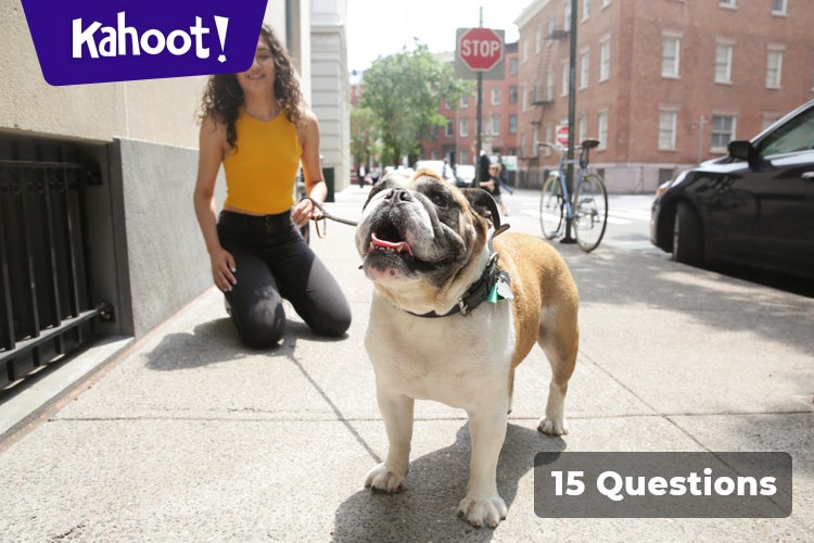 A1 Level Challenge - Kahoot! Quiz