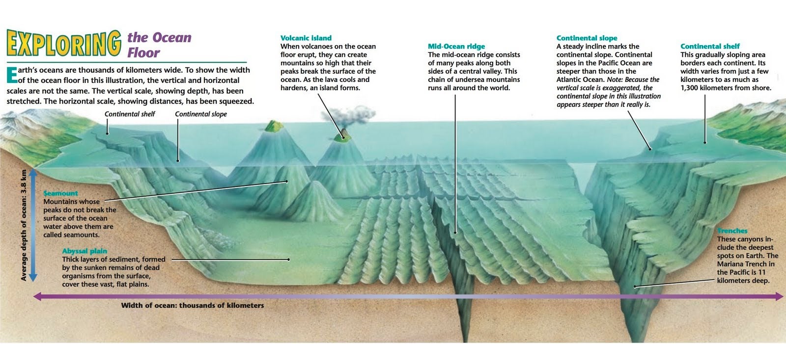Oceanography: Geology of the Ocean Basins [C] - Kahoot! Quiz
