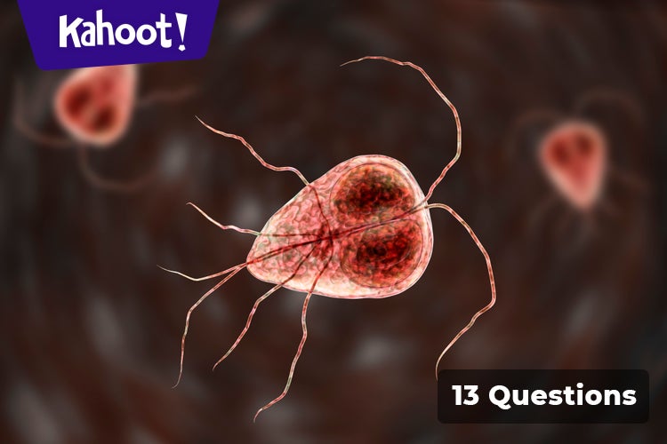 KUWK Class 16 Protists, Bacteria, Archaea - Kahoot! Quiz