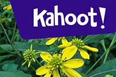 Plants 2 Exit Pass - Kahoot! Quiz