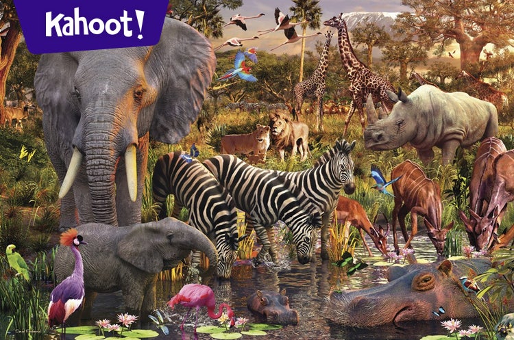 A collection of animals - Kahoot! Quiz