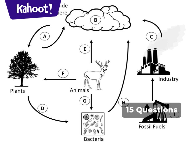 Carbon Cycle & Law of Conservation of Mass - Kahoot! Quiz