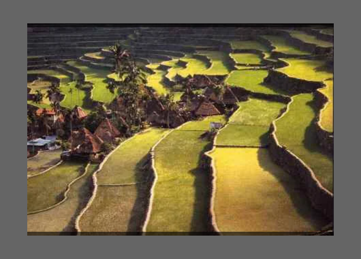 Topic 5: Agriculture and Rural Land Use - Kahoot! Quiz