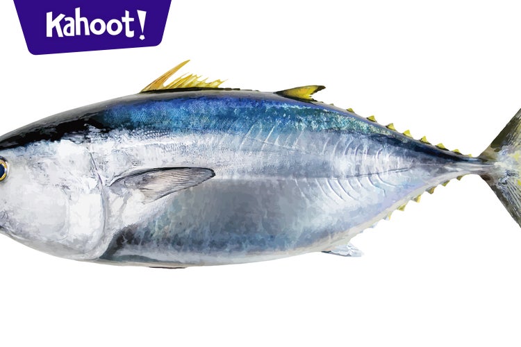 Tournament 7/25 and Fish - Kahoot! Quiz