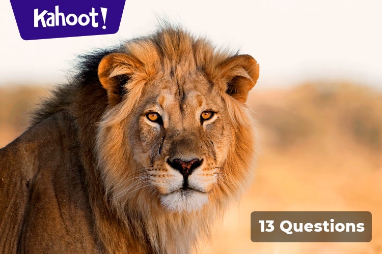 More 1 - Unit 2 - Word File - Kahoot! Quiz
