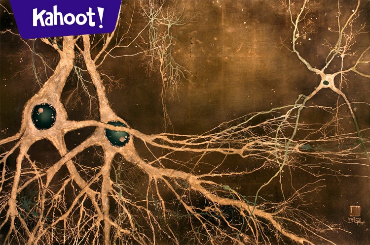 Spring 2021 Blind Kahoot: Introduction to Levels of Organization in ...