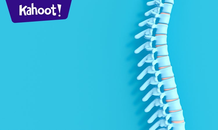 Spinal Anatomy - Kahoot! Quiz