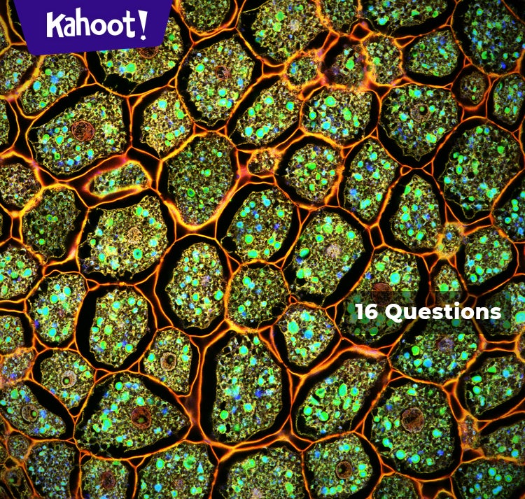 5th Grade Cells & Cell Processes - Kahoot! Quiz