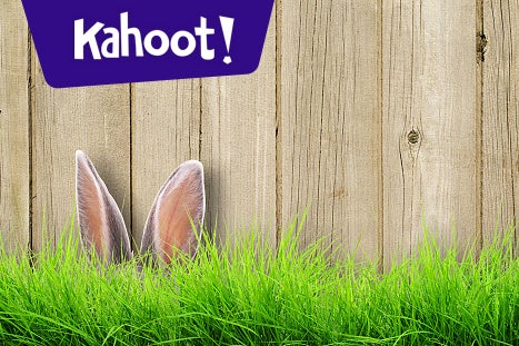 Darius, The World's Longest Bunny, Has Gone Missing! - Kahoot! Quiz