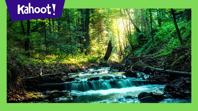 Ecology: energy flow in ecosystems - Kahoot! Quiz