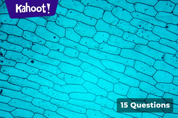 Plant tissue - Kahoot! Quiz