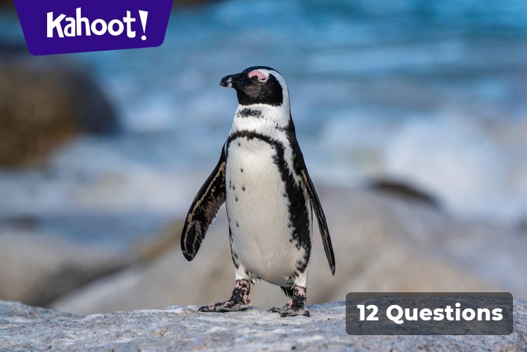Learning about endangered animals - Kahoot! Quiz