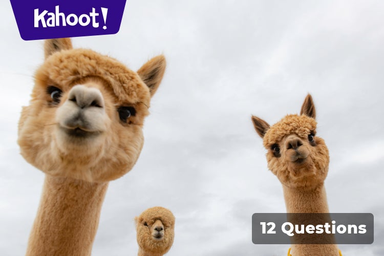 Kids box 1 - unit 5 - PETS - Kahoot! Quiz