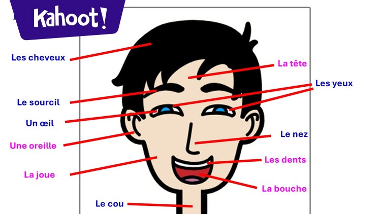 Parties du visage - Niveau 2 - Kahoot! Quiz