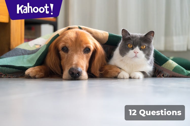 Las preposiciones - Prepositions of Place in Spanish - Kahoot! Quiz