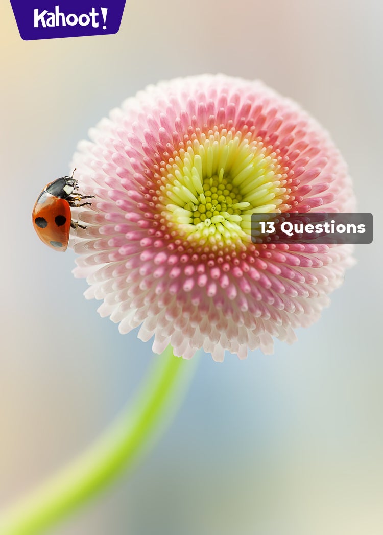 Science 4: U2, L2 - Kahoot! Quiz