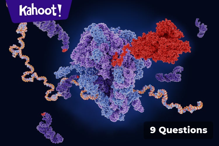 IB Biology 2.7 DNA replication, transcription and translation (IB style ...