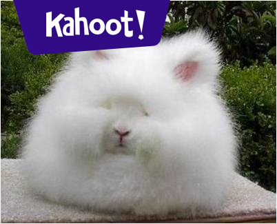 Vet Science CDE - Rabbit Breeds - Kahoot! Quiz