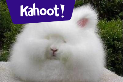 Vet Science CDE - Rabbit Breeds - Kahoot! Quiz