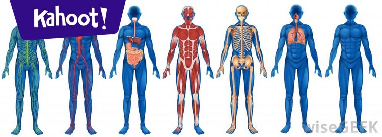 Intro to Anatomy and Physiology - Kahoot! Quiz