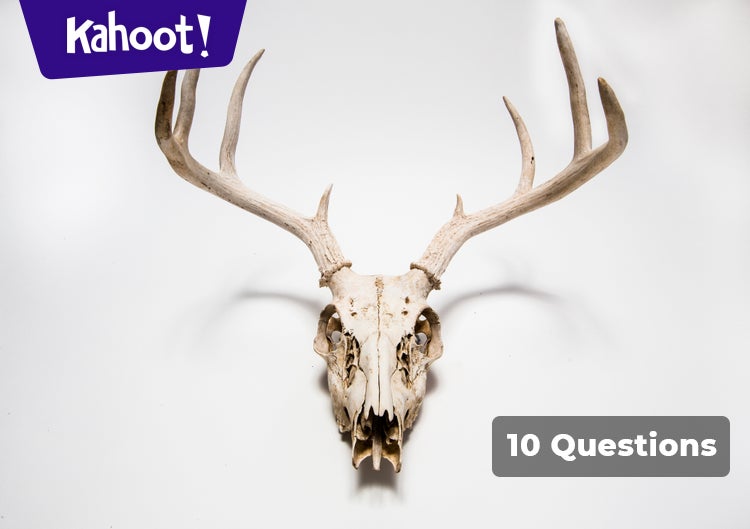 BIO1410: Anatomy of the Skull - Kahoot! Quiz