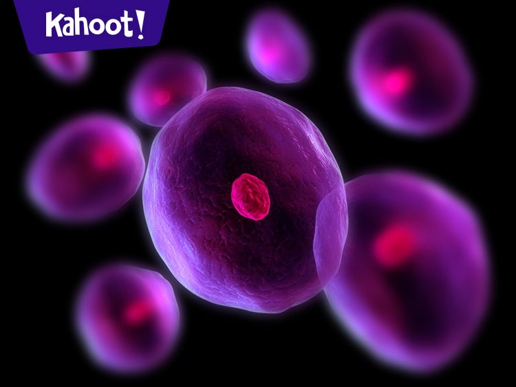 Cell Organelles - Kahoot! Quiz
