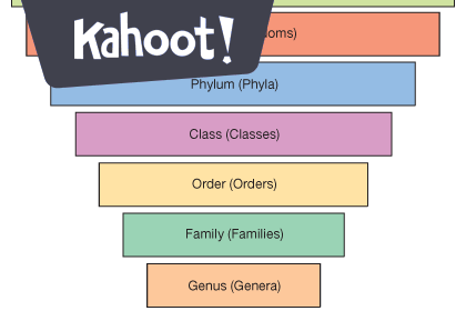 Classification - Kahoot! Quiz