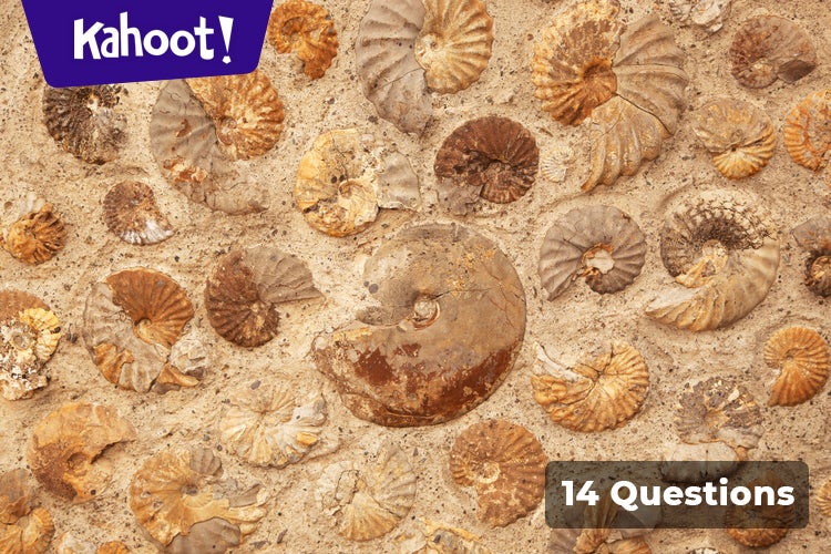 Rock and Fossils revision - Kahoot! Quiz
