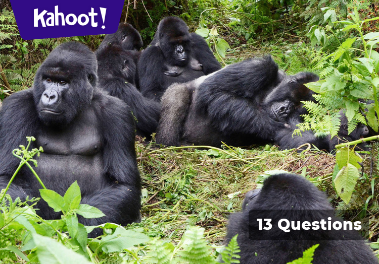 Landmark 1 - Lesson 4: Gorillas and Humans - Part 3+4 - Kahoot! Quiz