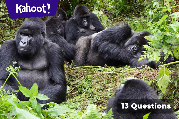 Landmark 1 - Lesson 4: Gorillas and Humans - Part 3+4 - Kahoot! Quiz