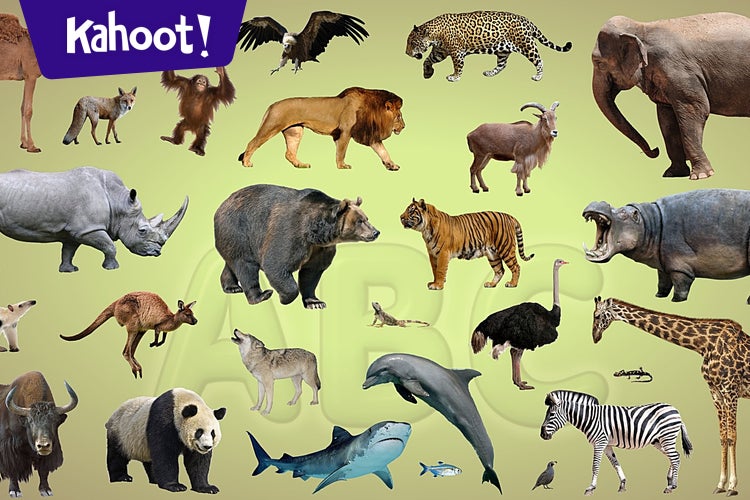 Guess the Animals - Kahoot! Quiz