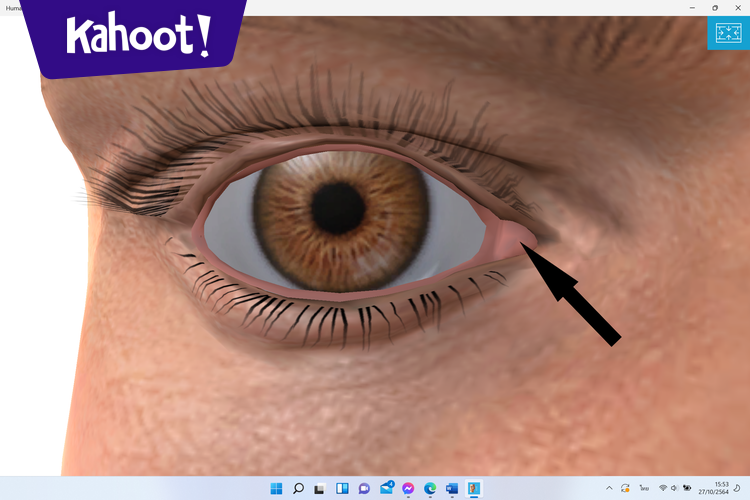 AP I : Lab test II - Kahoot! Quiz