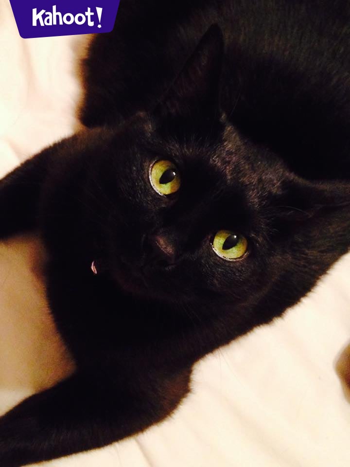 Midterm Practice part deux - Kahoot! Quiz