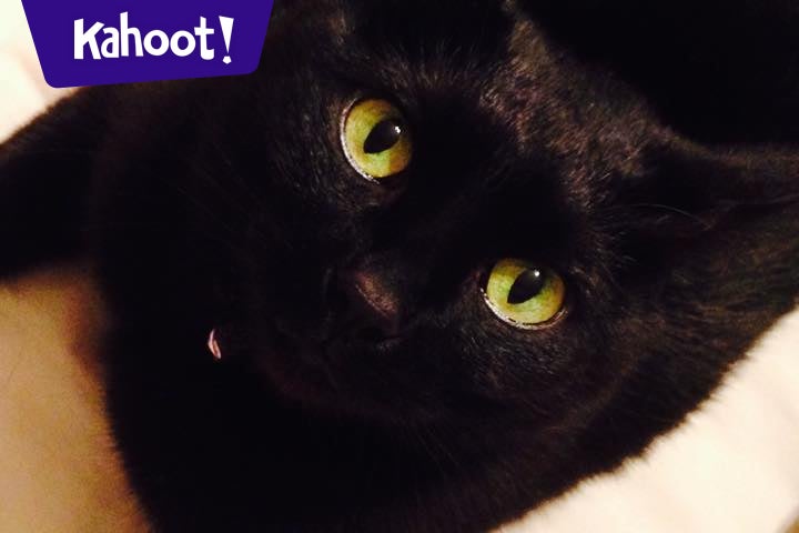 Midterm Practice part deux - Kahoot! Quiz