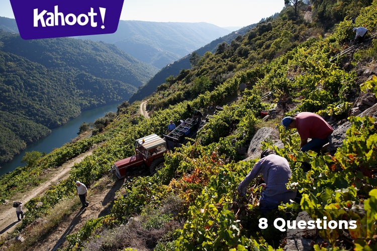 Garbage Collection - Kahoot! Quiz