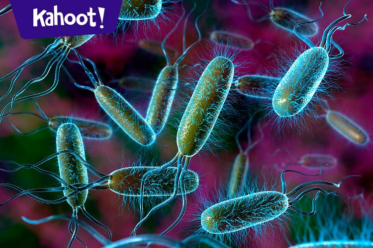 MI Lesson 1.2 - Antibiotic Therapy - Kahoot! Quiz