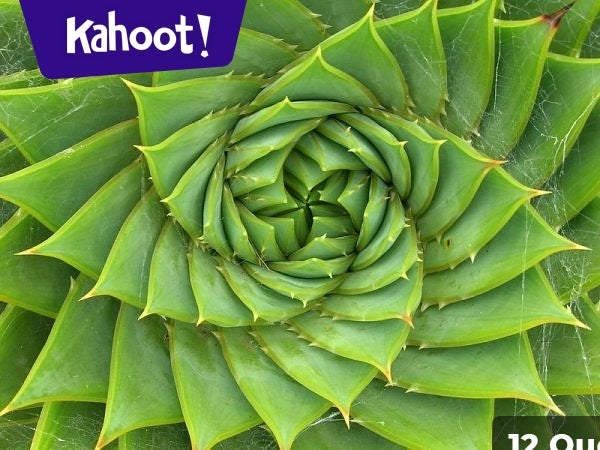 Circle Vocabulary - Kahoot! Quiz