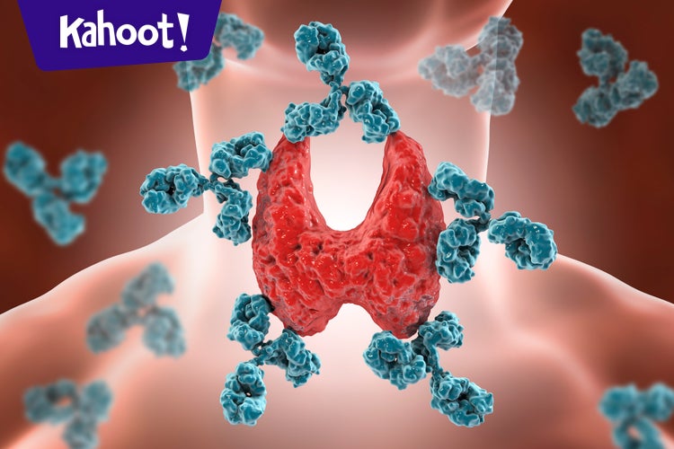 Endocrine system 01\02 - Kahoot! Quiz