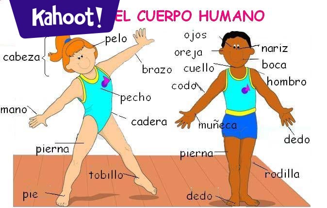 Las partes del cuerpo (body parts) - Kahoot! Quiz