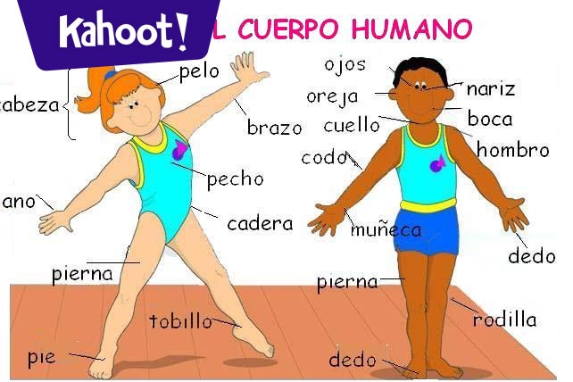 Las partes del cuerpo (body parts) - Kahoot! Quiz
