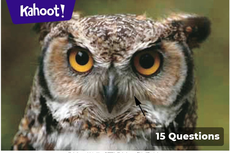 A & P II- Avian Anatomy - Kahoot! Quiz
