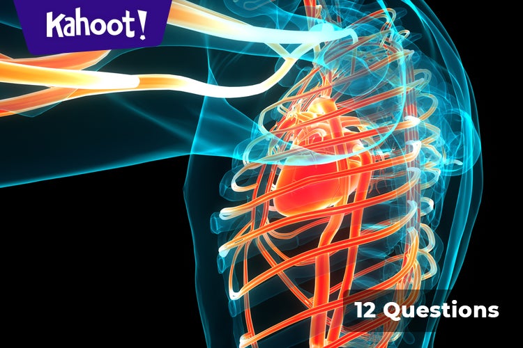 Breath of Life: The Pulse of Circulatory Respiration - Kahoot! Quiz