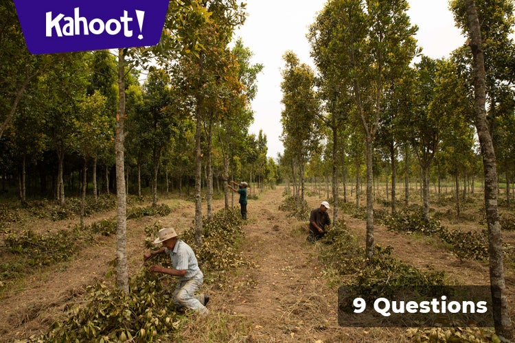 How Planting Trees on Farms Helps Agriculture - Kahoot! Quiz